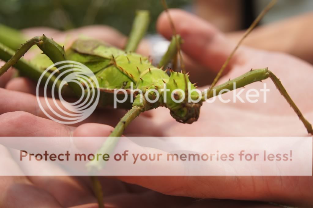 Ipoh & Cameron Highlands | waarzittenwenu