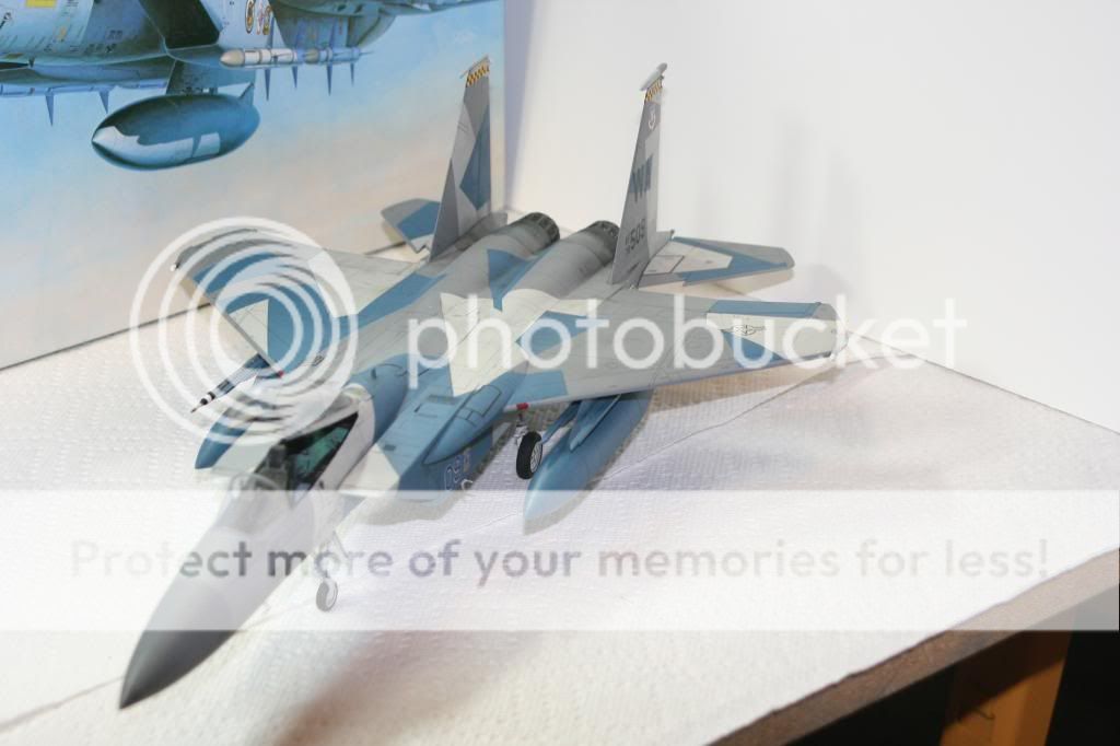 1/48 Hasegawa F-15c: 65th Aggressor Squadron: Splinter Camo - Ready for ...